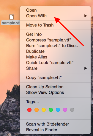 VTT File Transcripts: Open, Edit & Use AI Summaries